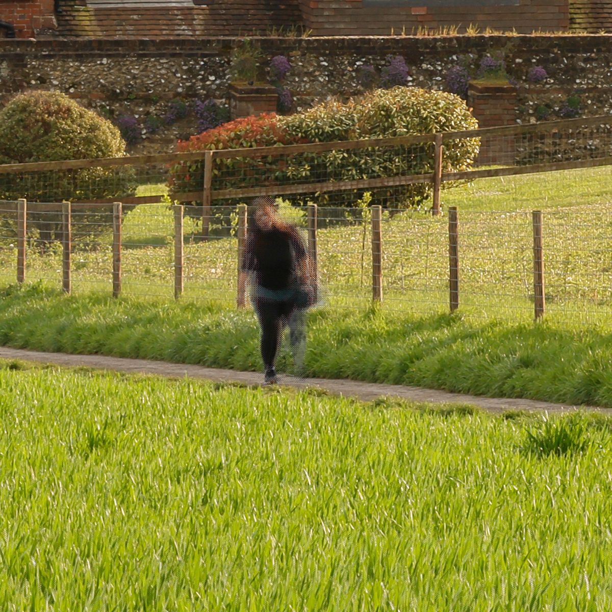 Firmware update to Canon EOS R5 enables super hi-res 400MP pictures ...