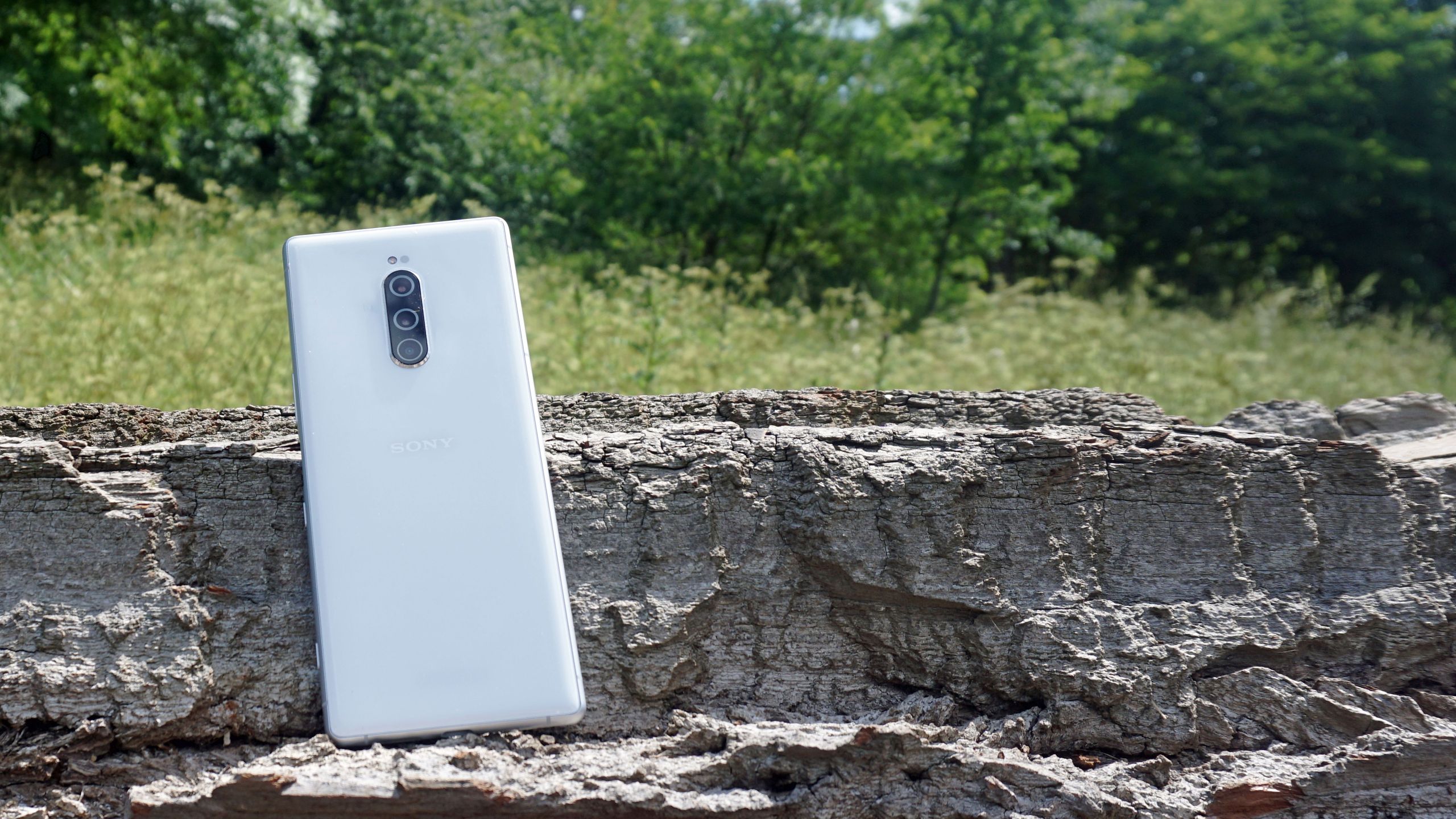 Earth Day 2022: 6 phone tricks to help you make a difference and be eco ...