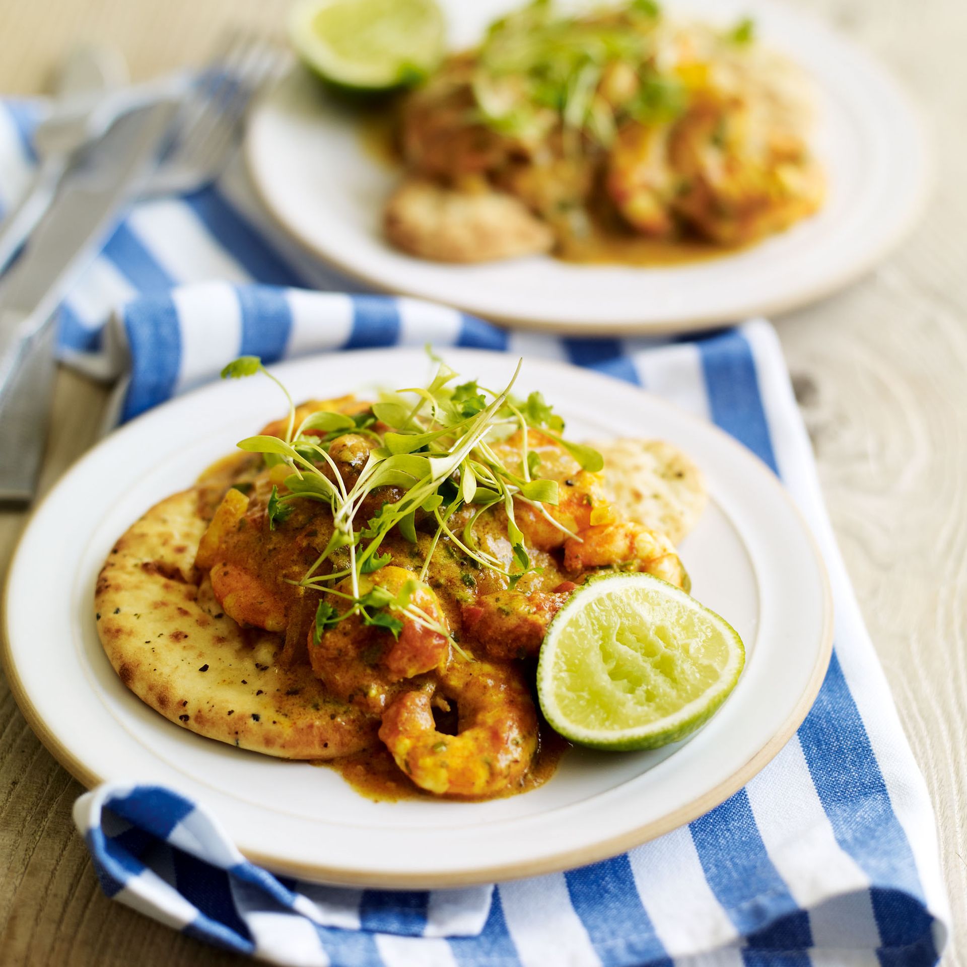 Prawn and Coconut Balti Curry with Naan Bread | Dinner Recipes | Woman ...