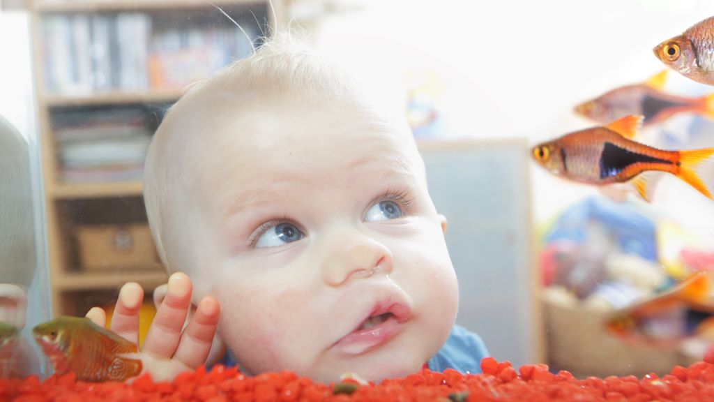 Diagnostic dilemma: A baby suddenly started to smell of rotting fish ...