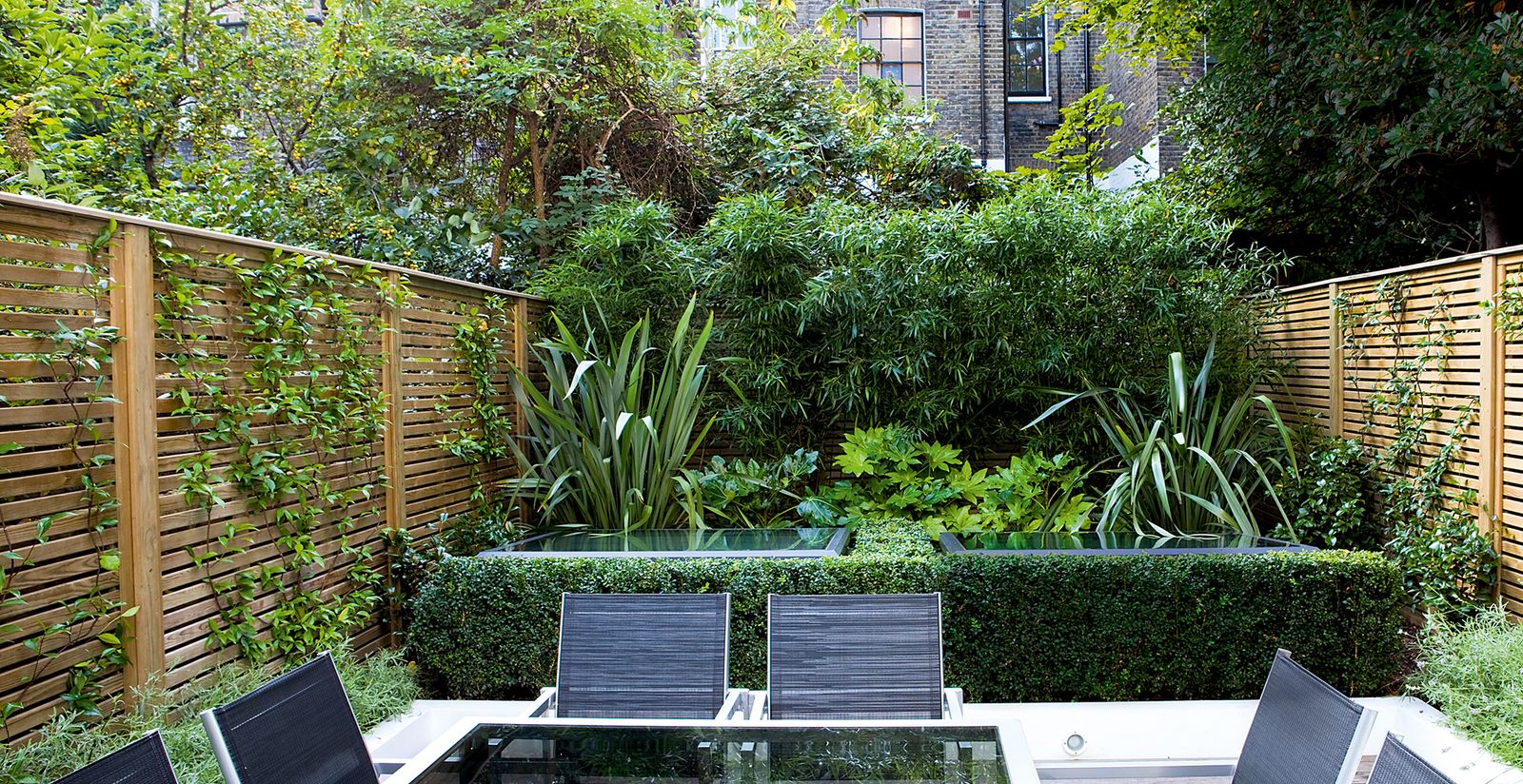 Can you cut overhanging branches from a neighbour's tree? | Woman & Home