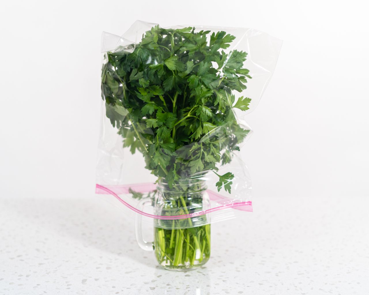 How To Store Fresh Herbs From The Garden So They Last Longer ...