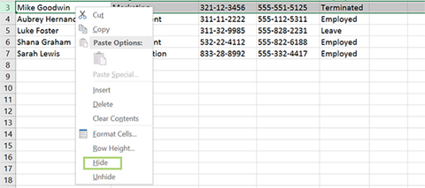 How to Hide Entire Rows or Columns for Cleaner Printing in Excel ...