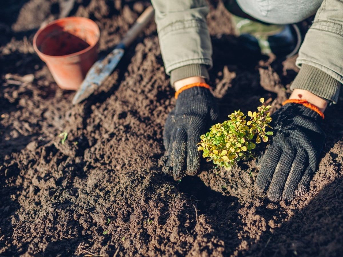 When Is It Too Cold To Plant? | Gardening Know How