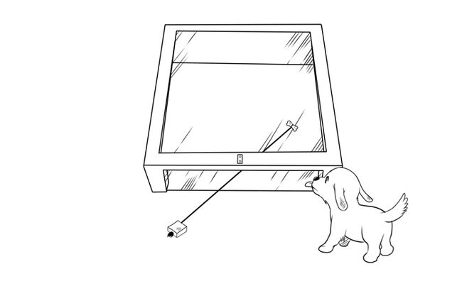 When Dogs are (Adorably) Not So Smart | Animal Intelligence | Live Science