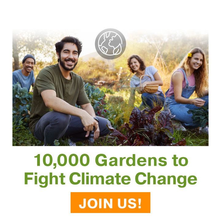 Plant Migration Moving North – What It Means For Gardeners | Gardening ...