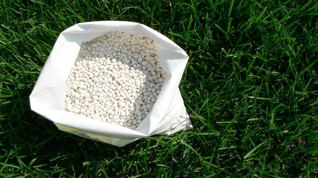 5 mistakes you make when applying fertilizer to your yard | Tom's Guide