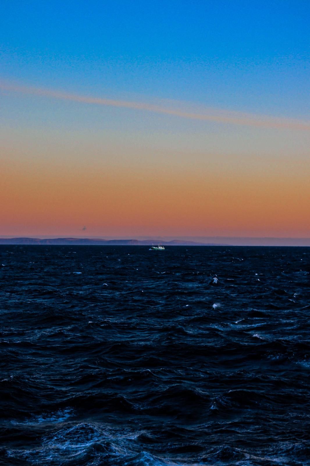 Liz Hatton - Teenager photographer who met the Princess of Wales has ...