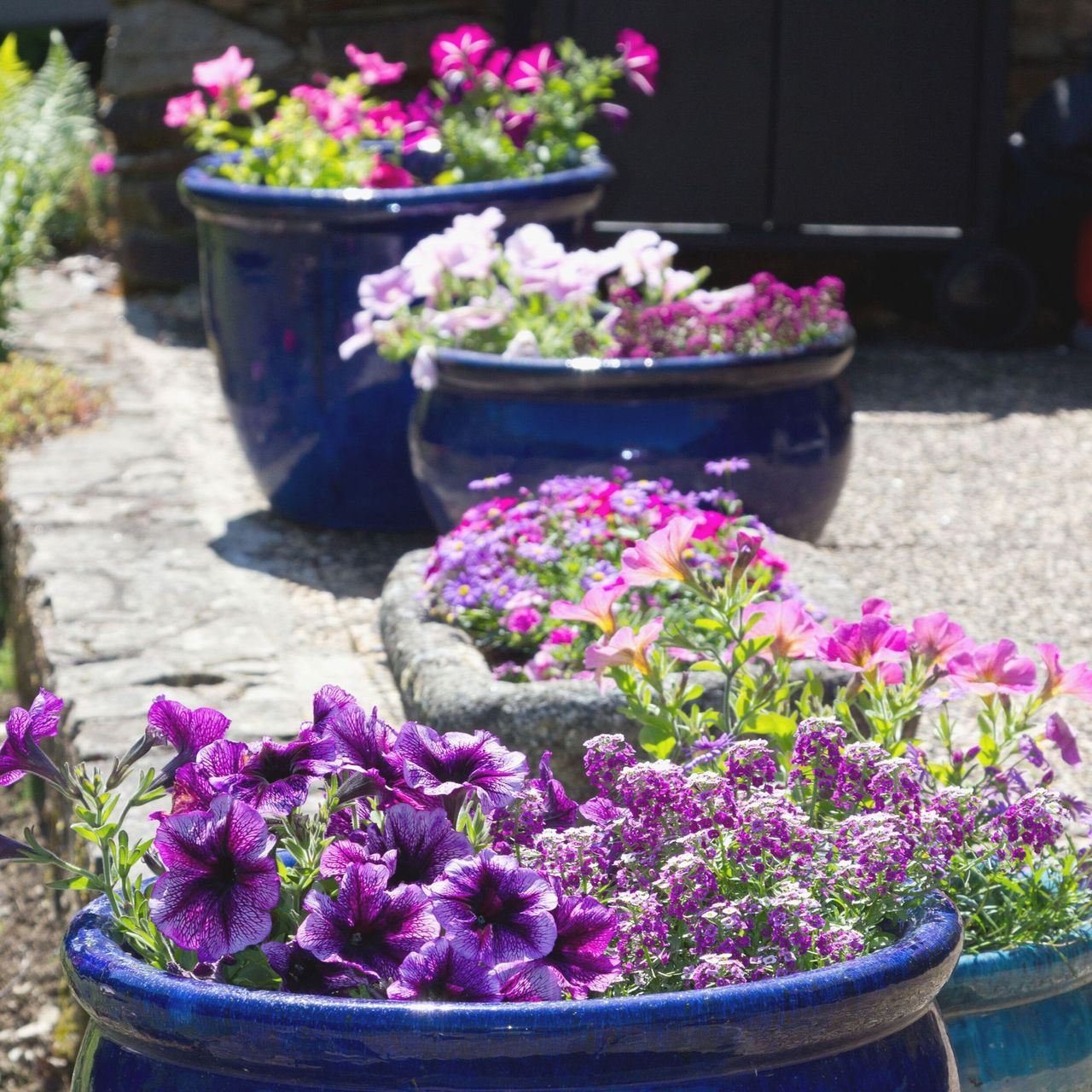 20 container garden ideas to add colour and personality | Ideal Home