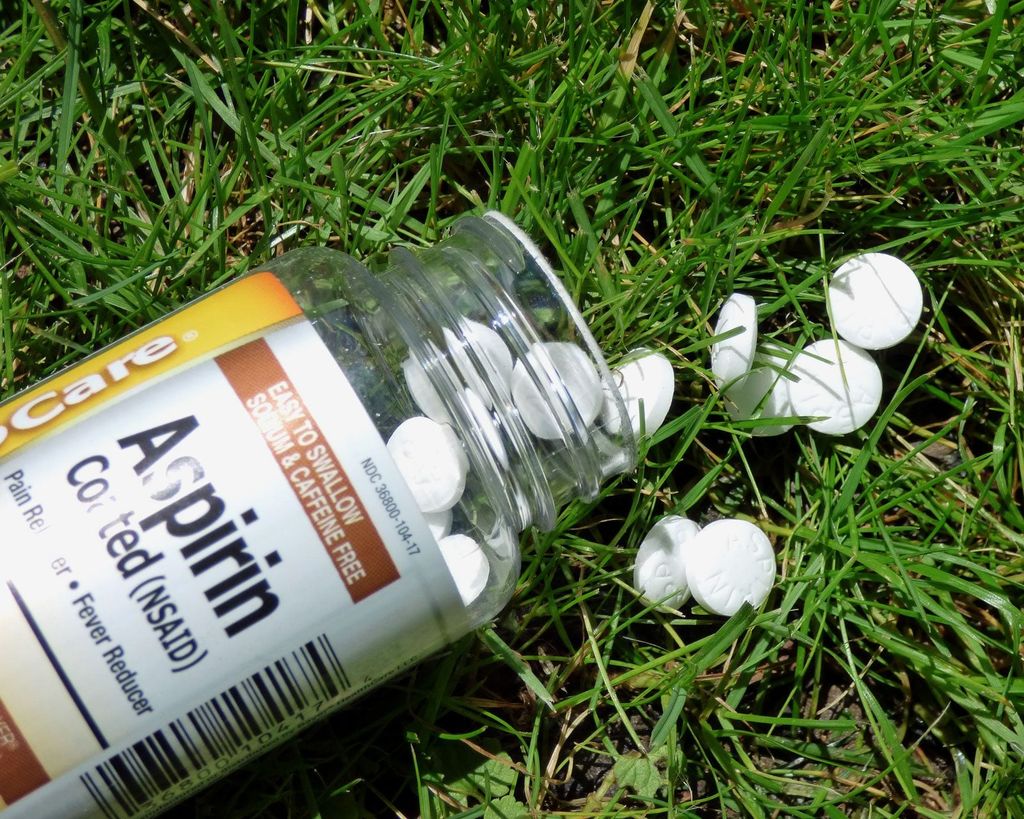 Use Of Aspirin On Plants: Aspirin In Vegetable Gardens And More ...