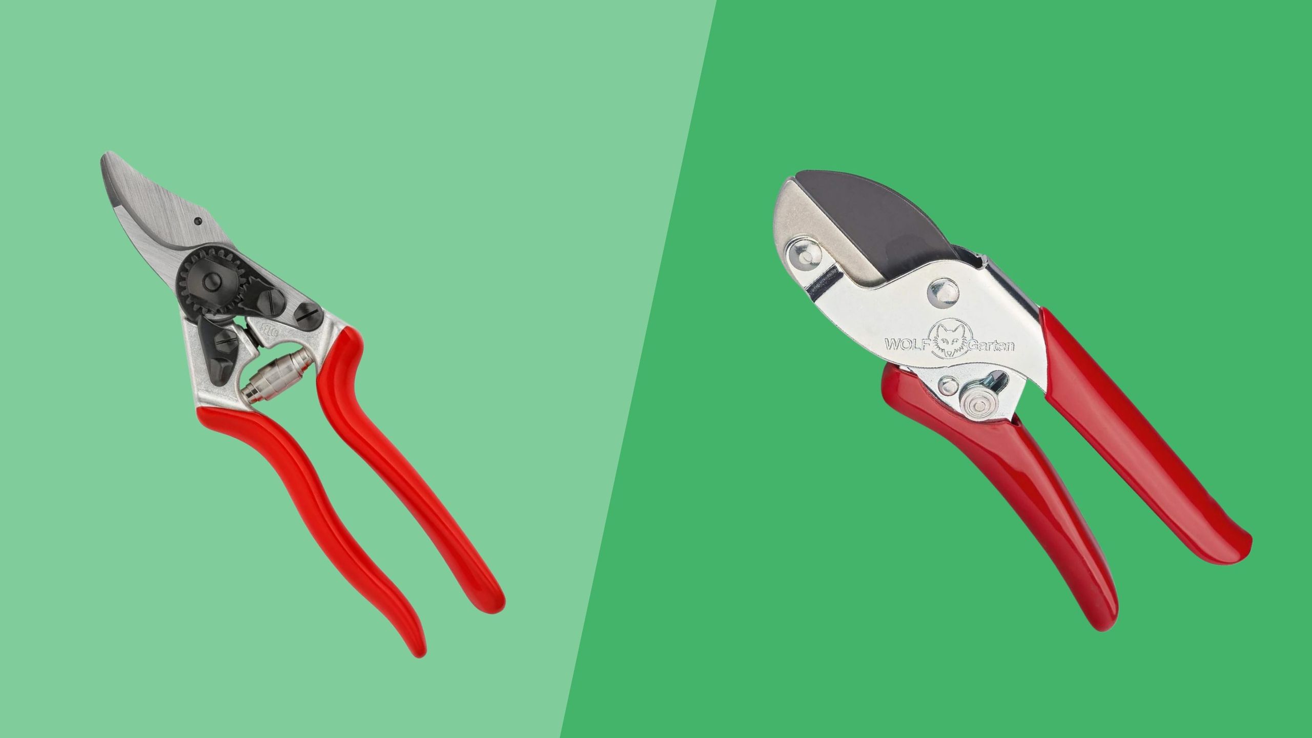 Anvil Vs Bypass Pruning Shears