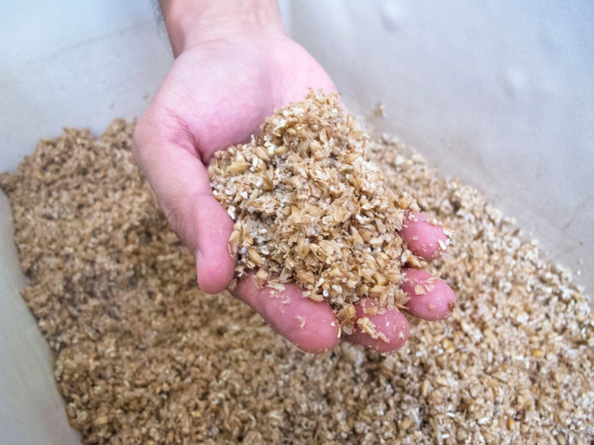 Spent Grain Composting: Is Composting Home Brew Waste Possible ...