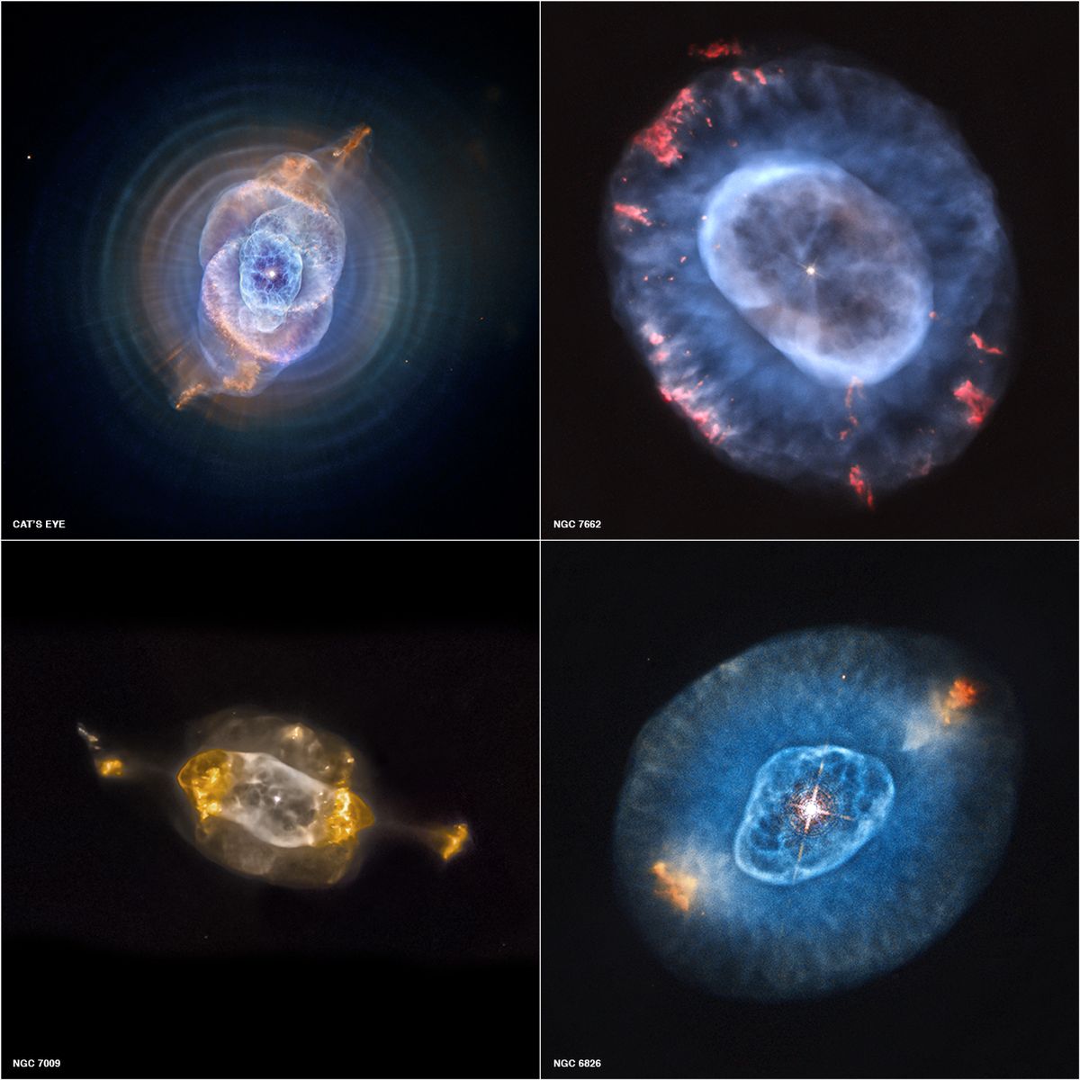 Gallery: Amazing Nebula Photos From Chandra & Hubble | Space