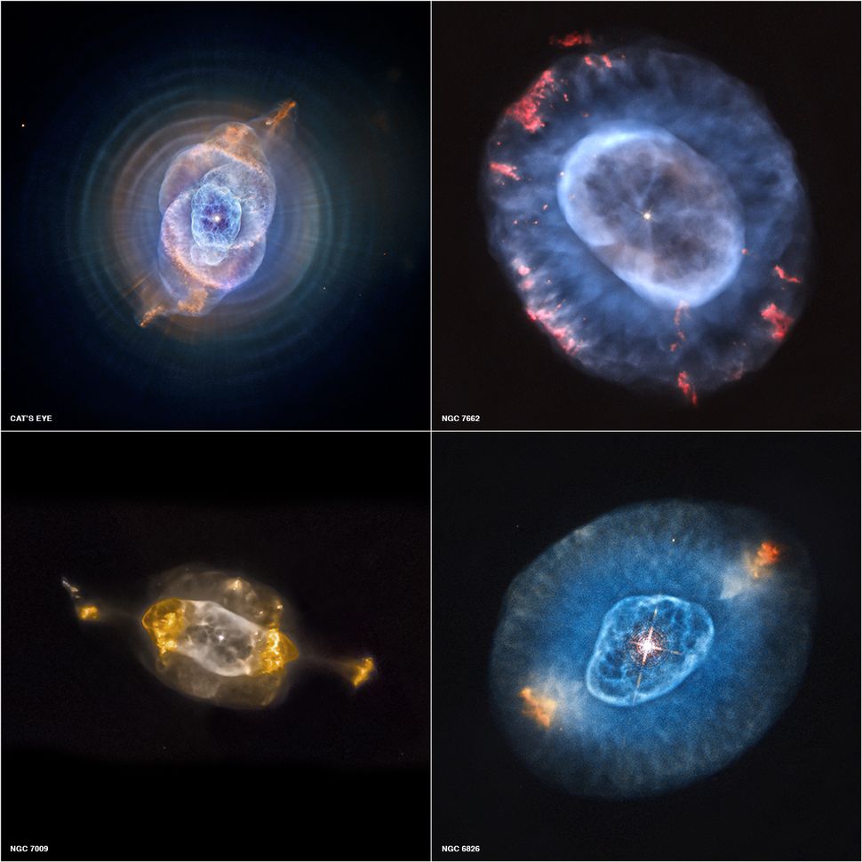 Gallery: Amazing Nebula Photos From Chandra & Hubble | Space