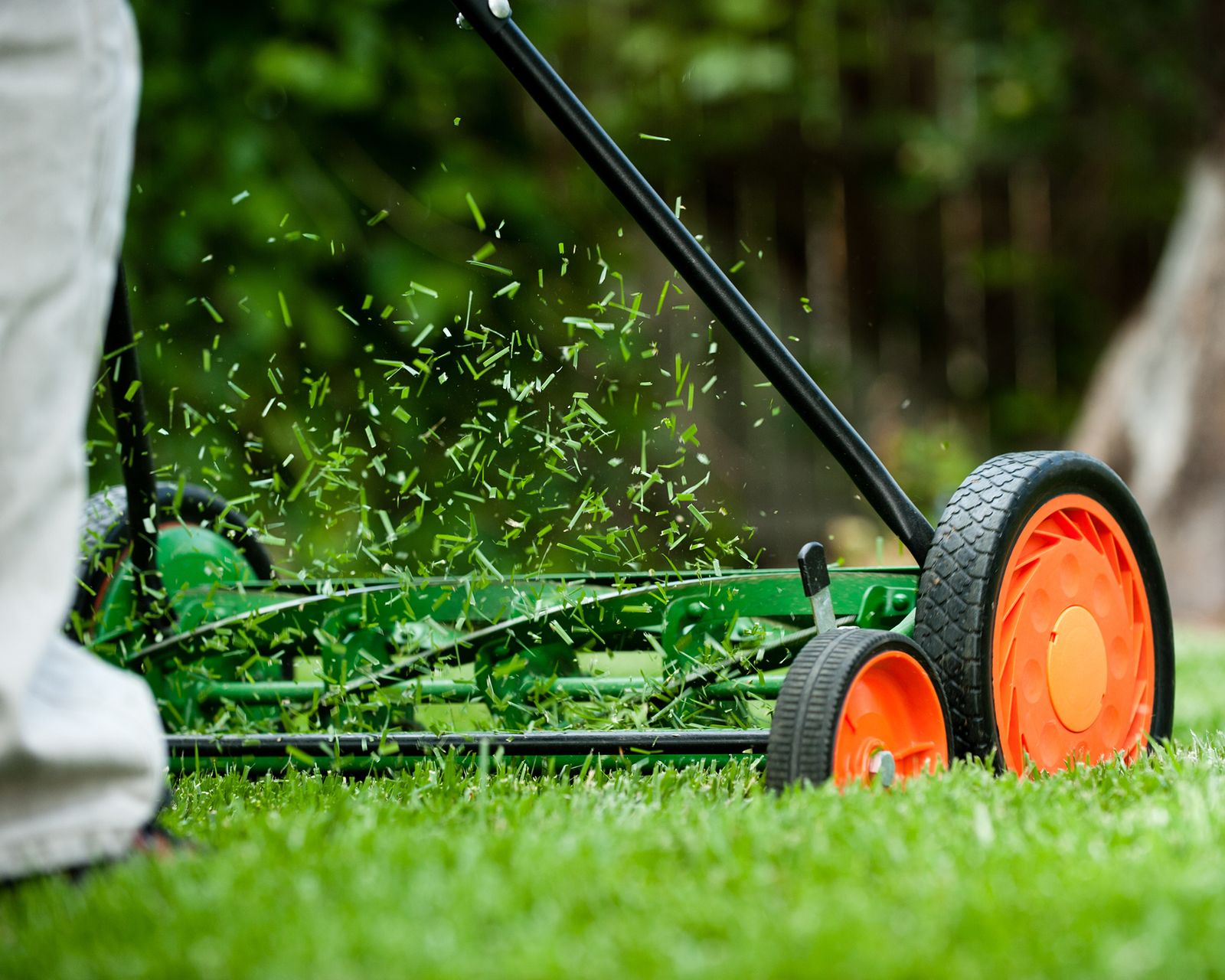 Heat-Stressed Lawn Care: 5 Tips To Help Grass Survive Summer ...