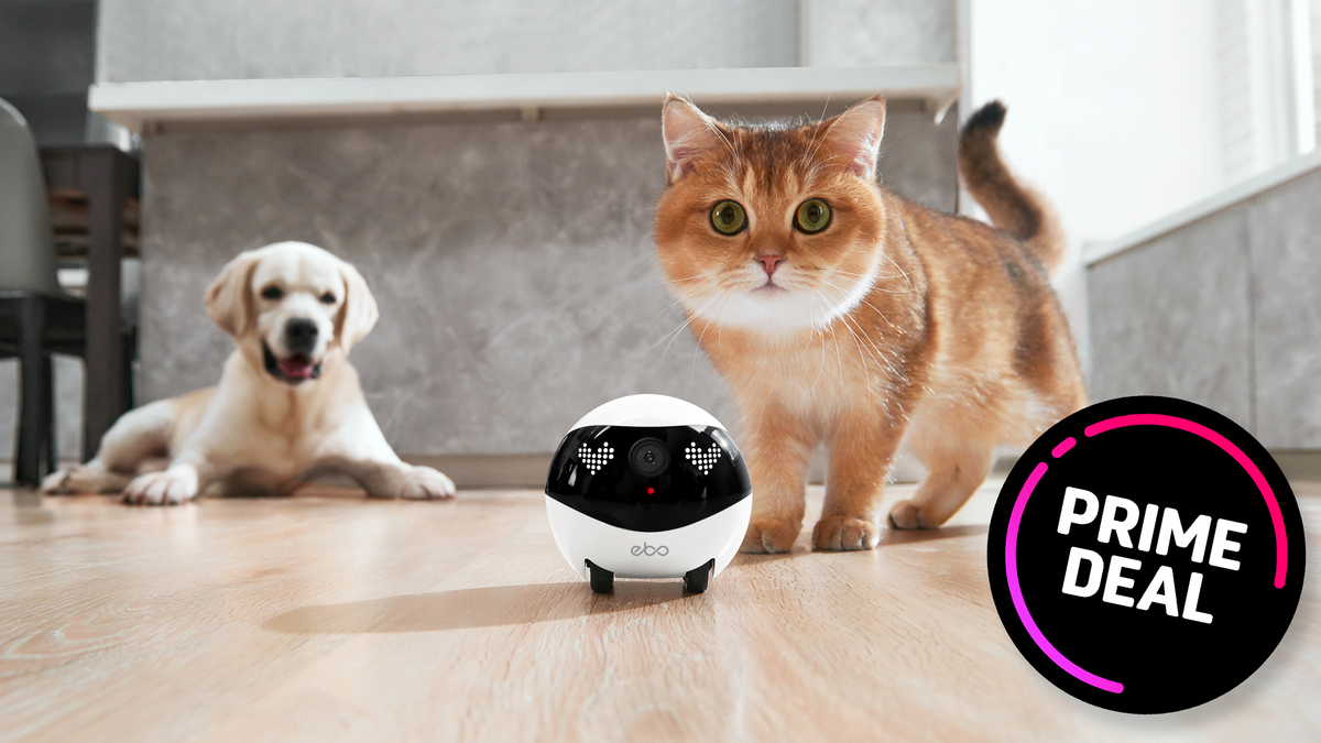 Hot 'bots! Don't miss these Prime Day deals on Enabot home companion ...
