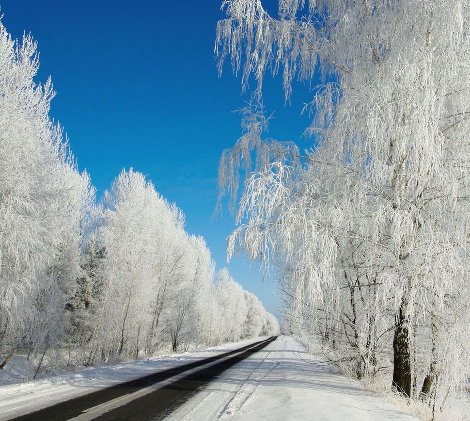 Winter Wonderland: Images of Stunning Snowy Landscapes | Live Science
