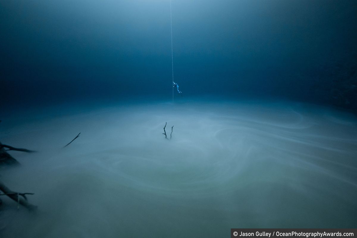 Dive deep into the ocean with these stunning underwater photographs ...