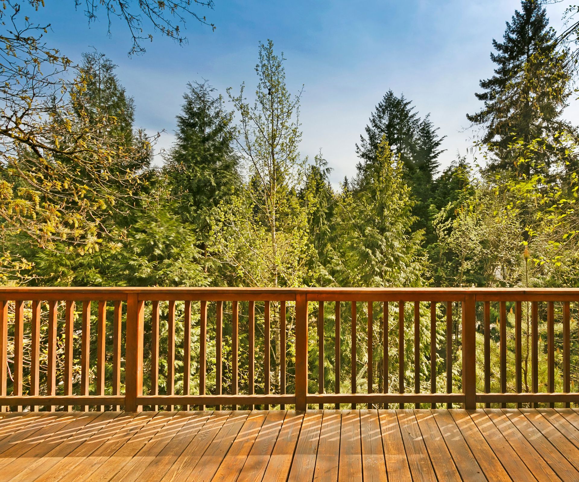 Best wood for a deck – revealed by deck experts | Homes and Gardens