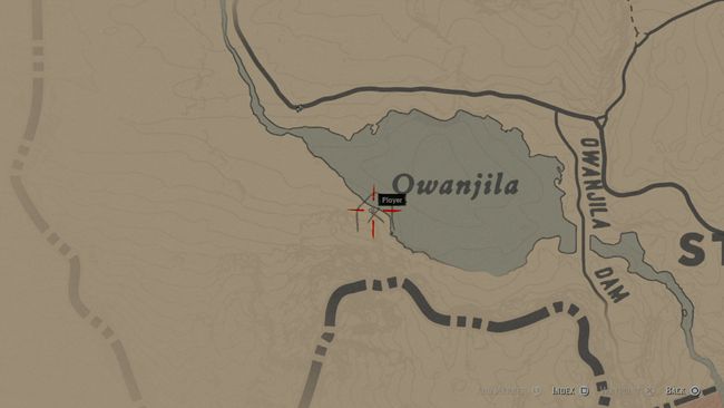 Red Dead Redemption 2 rock carvings | GamesRadar+