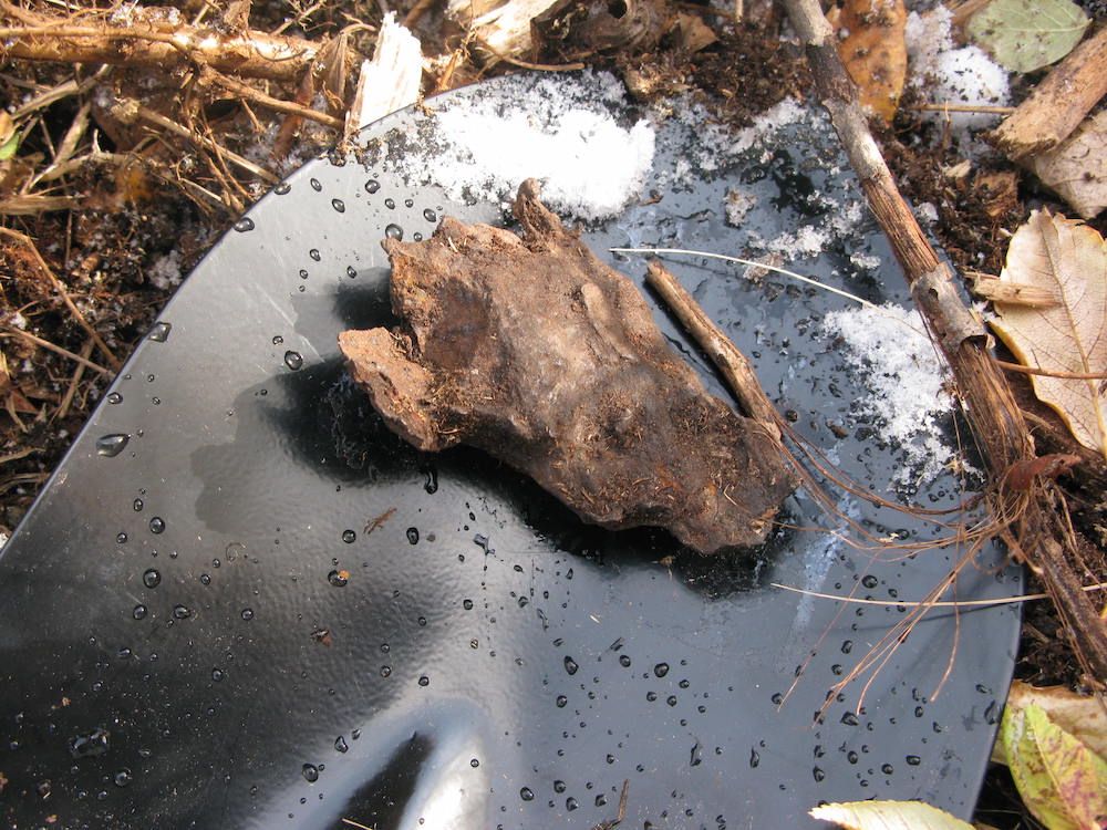 Meteorites: Rocks that Survived Fiery Plunge to Earth | Live Science