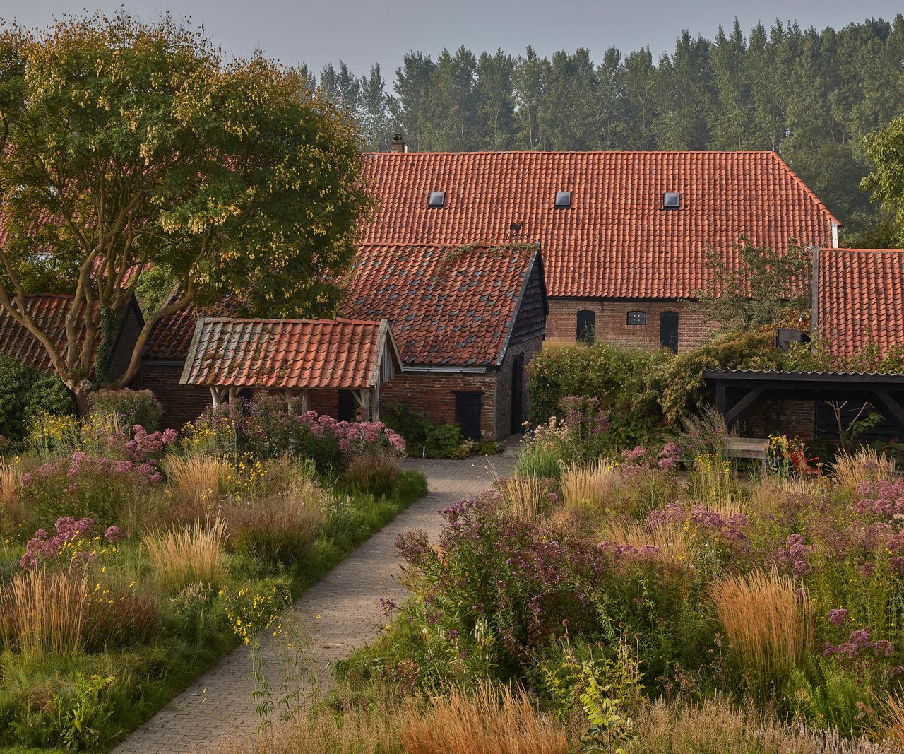 What is prairie planting? | Homes and Gardens
