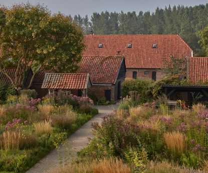 What is prairie planting? | Homes and Gardens
