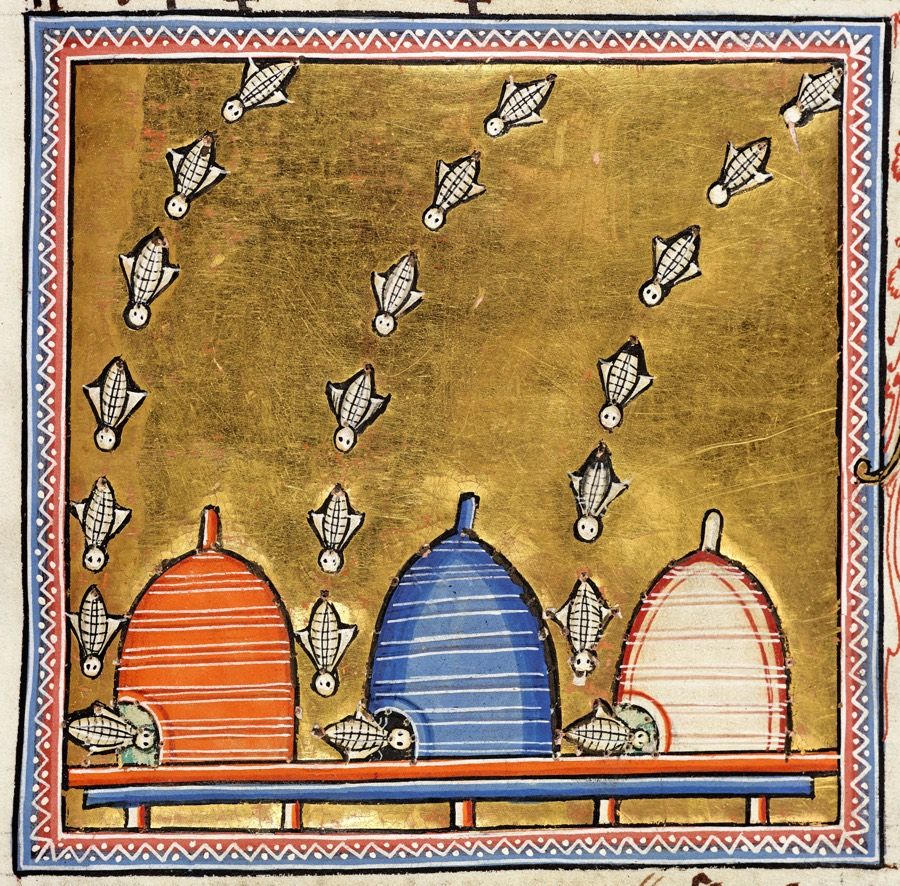 Images: Animal Tales Illuminate the 'Aberdeen Bestiary' | Live Science