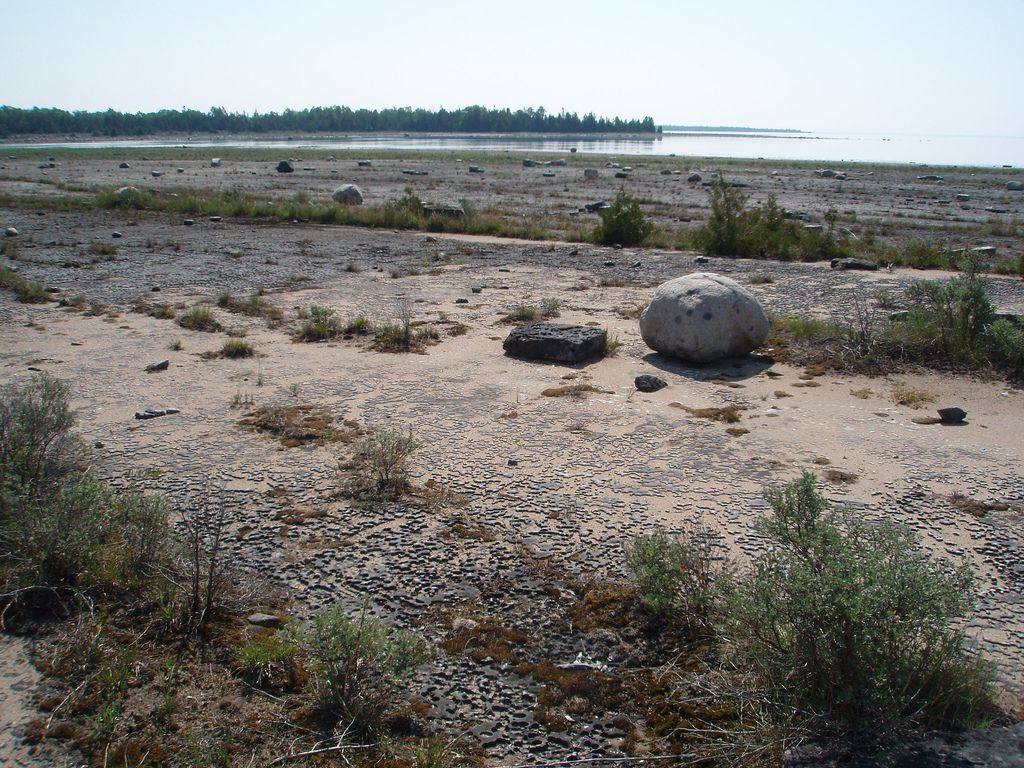 Criteria for 'Red List' of Endangered Ecosystems Released | Live Science