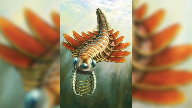 Triops: Facts about the three-eyed 'dinosaur shrimp' | Live Science