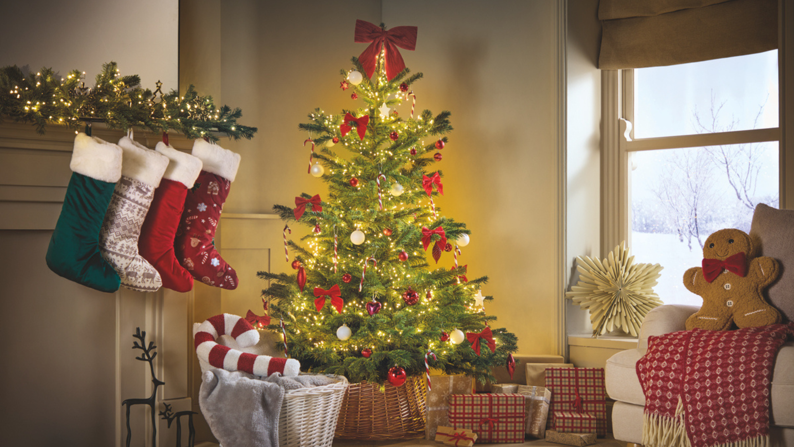 Aldi's cult real Christmas trees are back and under £20 | Ideal Home