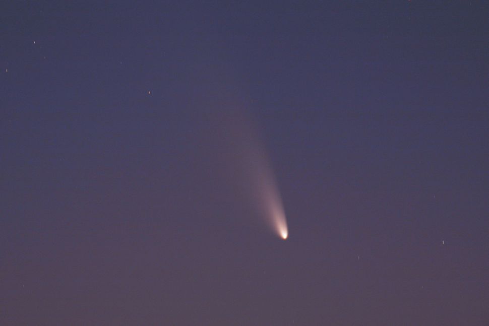 Comet Pan-STARRS of 2013: Photos and Sky Maps for Stargazers | Space