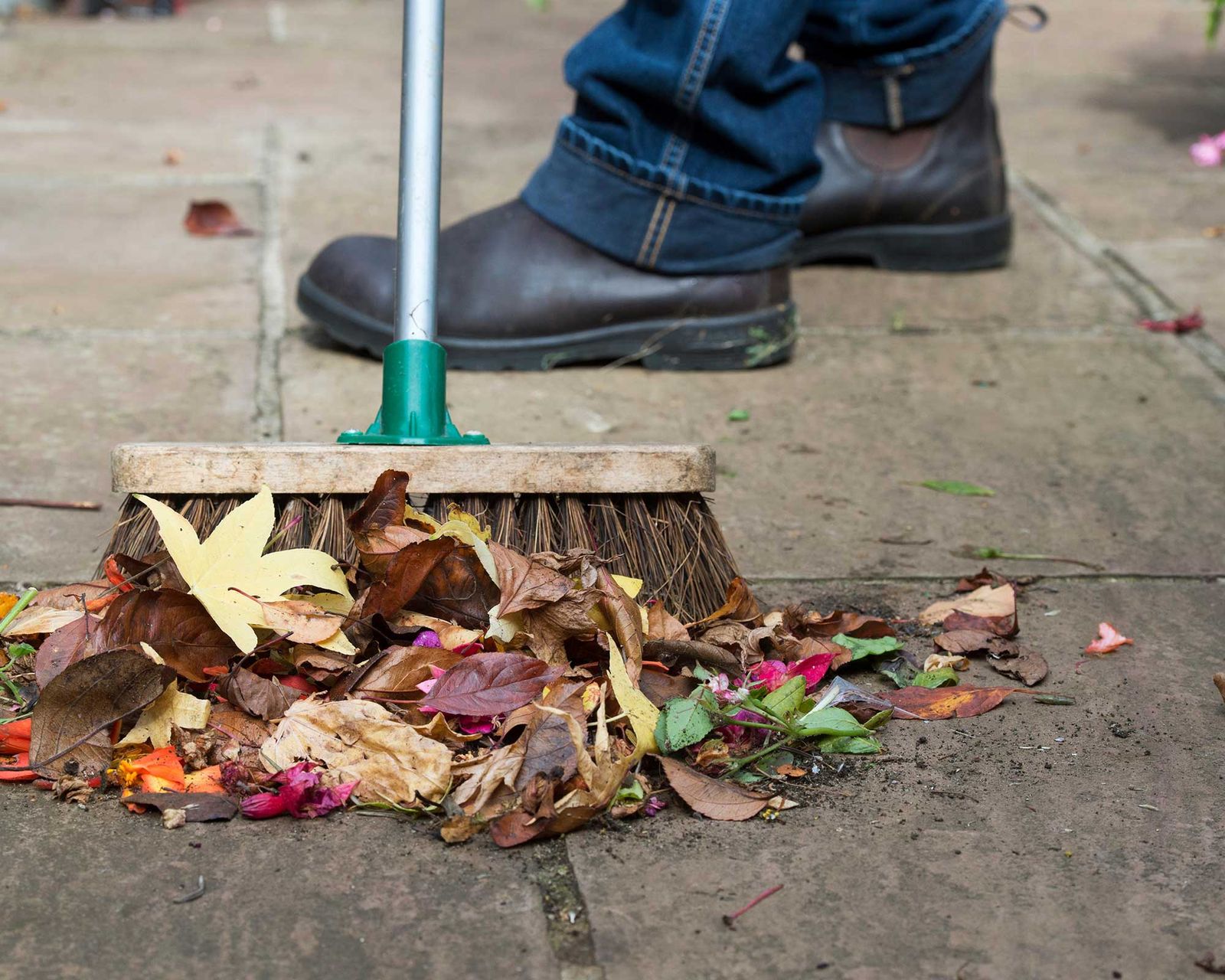 Winter jobs in the garden: 21 cold-weather chores that take care of ...