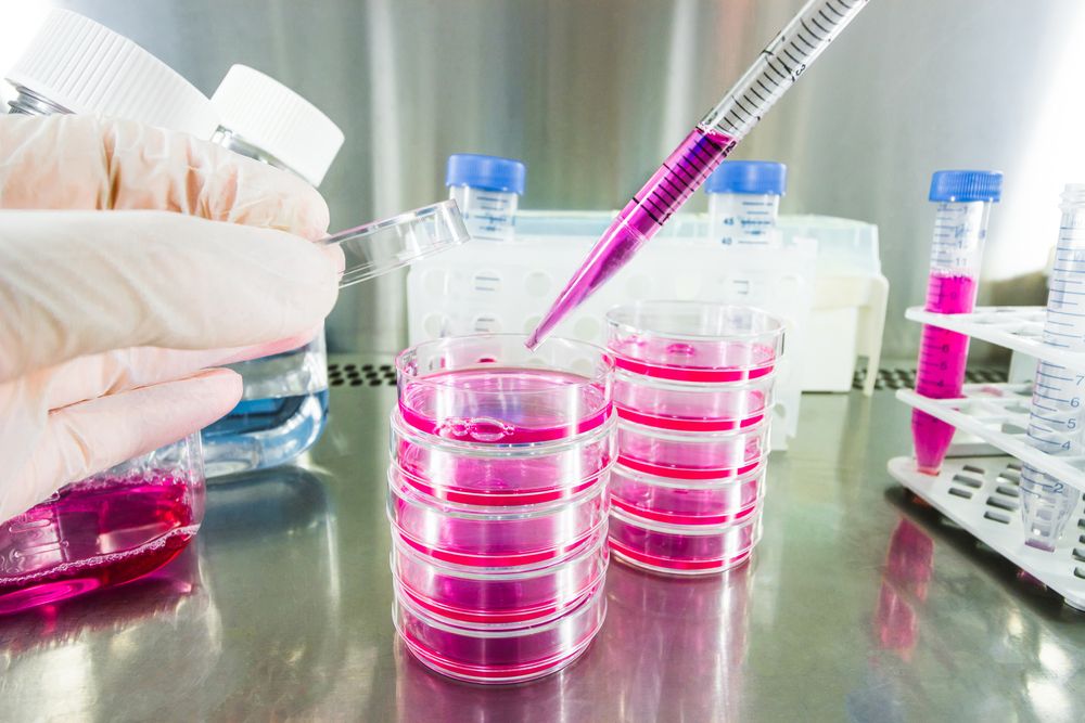 Brain Cancer's 'Immortality Switch' Turned Off with CRISPR | Live Science