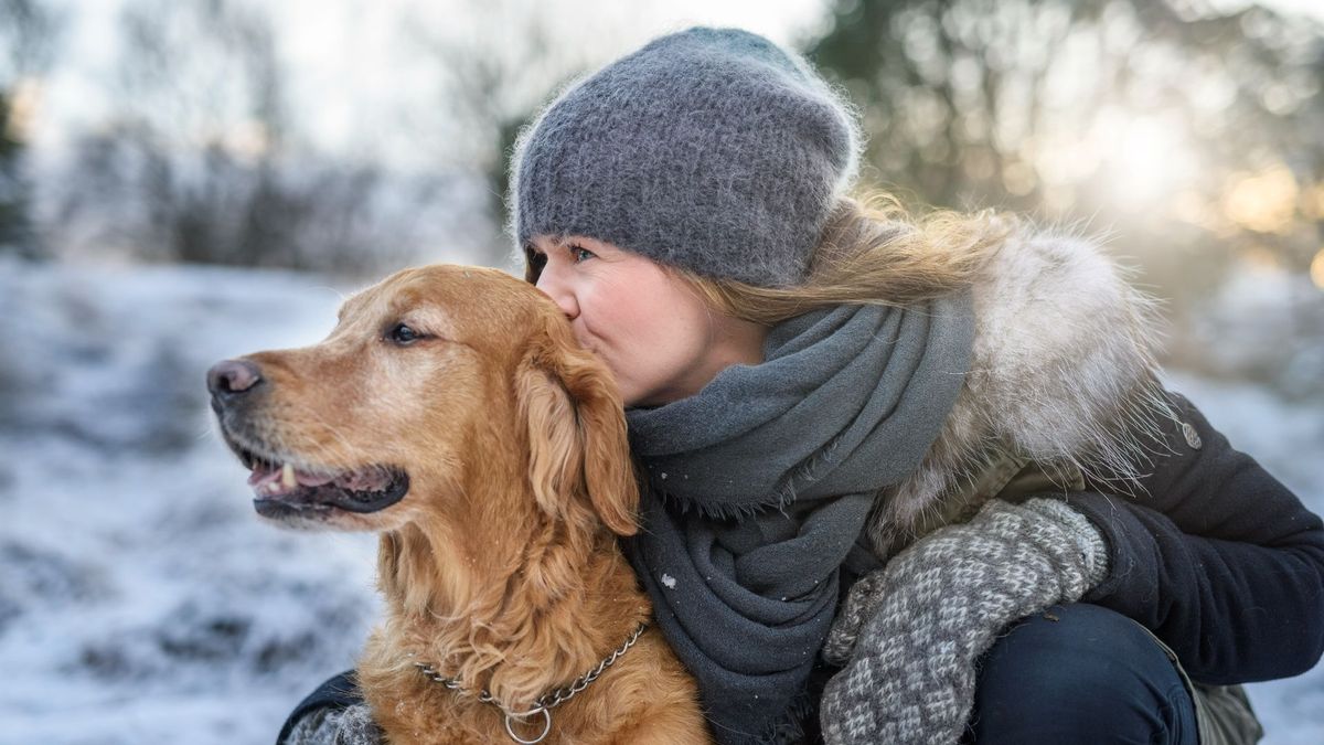 How to keep a dog warm outside: 7 tips for cold weather | PetsRadar