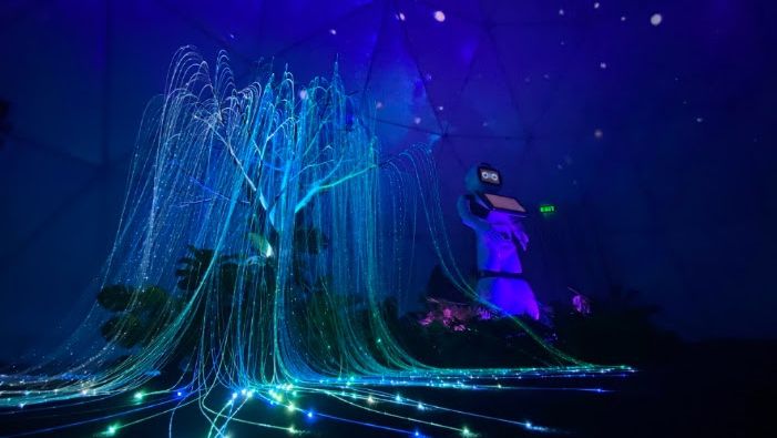 Next Stop Nebula: Laser Projectors Take Guests on an Immersive 'Avatar ...