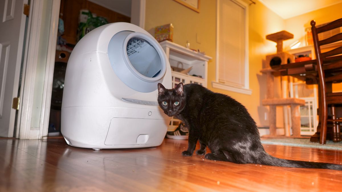 I asked cats to test these robotic litter boxes — here's the ones they ...