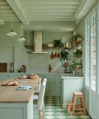 Color-drenched kitchens that prove this paint trend is timeless | Homes ...