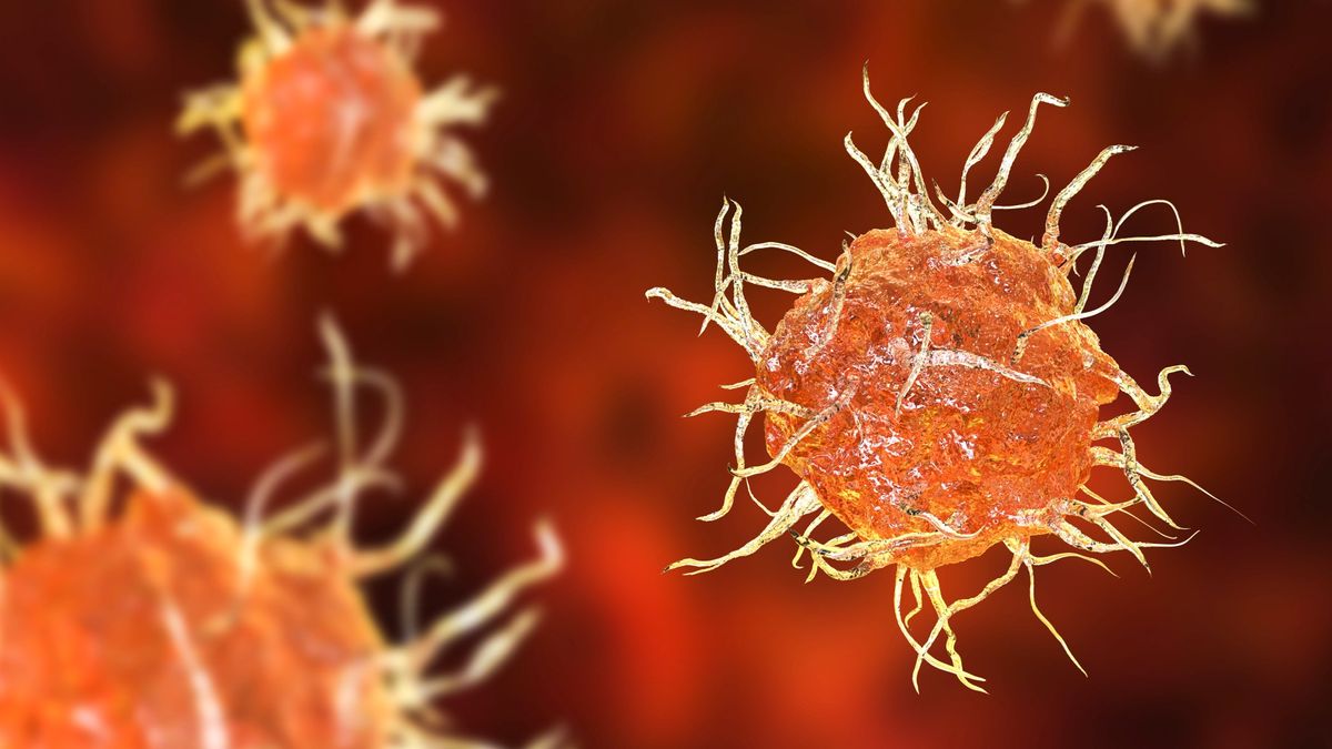 1st-of-its-kind therapy blocks immune attack after stem-cell transplant ...