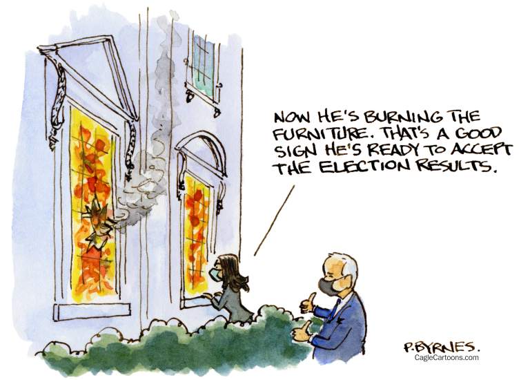 5 witheringly funny cartoons about Trump's sort-of concession | The Week