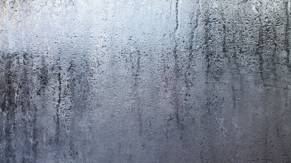 What is condensation and how can you prevent it? | Homebuilding