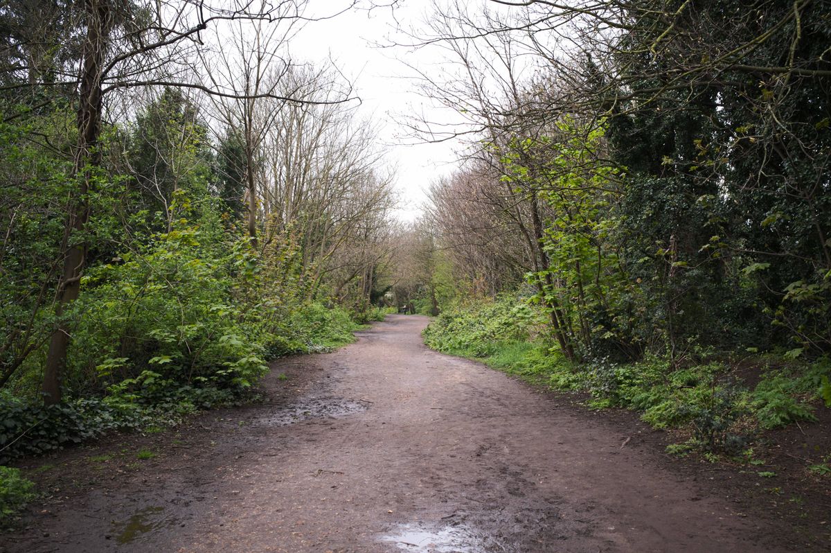 Thypoch Simera 35mm f/1.4 (Leica M) lens review: a manual focus marvel ...