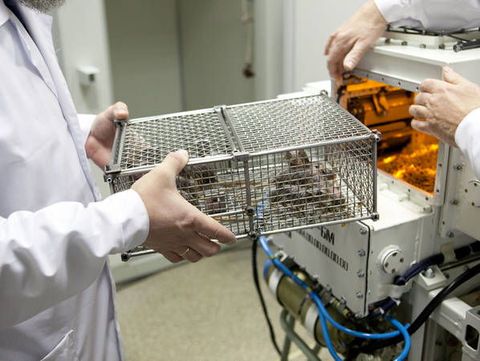 Russia Launches Animals Into Space on 1-Month Journey | Space