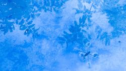 "Macro photography is complicated," admits nature photographer Tony ...
