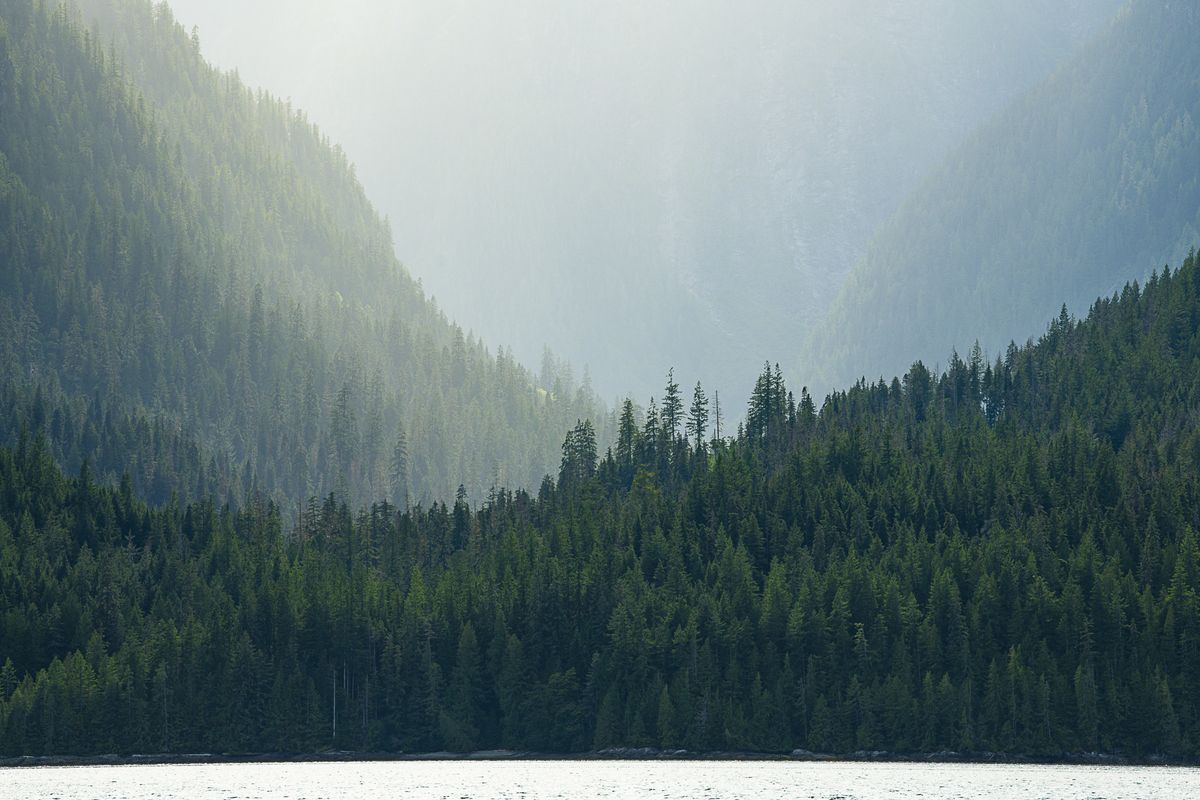 Mist opportunities! How to take top landscape photos in mist and fog ...