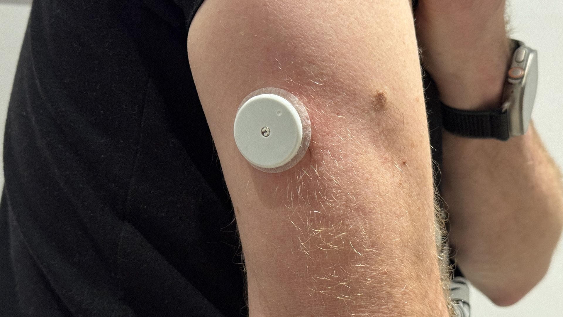 Lingo Biosensor showed me how my body reacts to food stress and sleep | T3