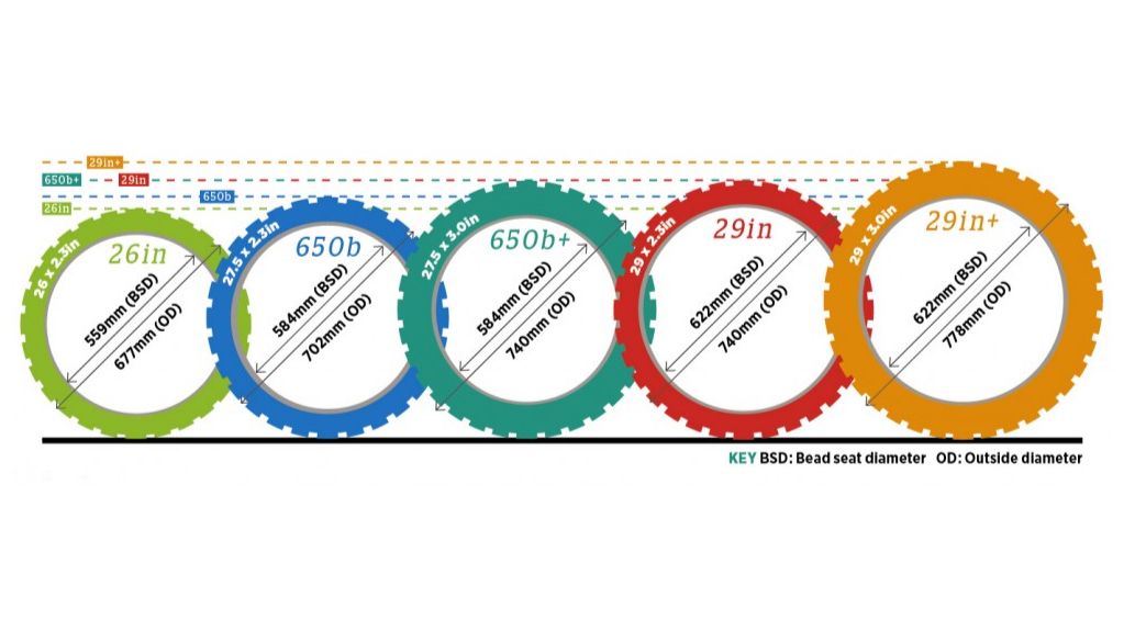 Mountain bike wheel size chart | Bike Perfect