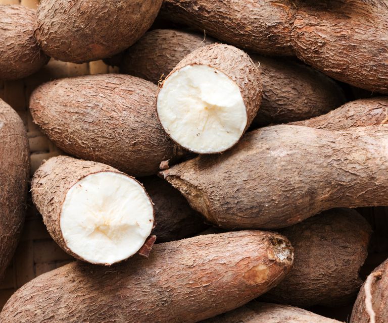 How to grow cassava - expert tips for great crops of roots | Homes and Gardens
