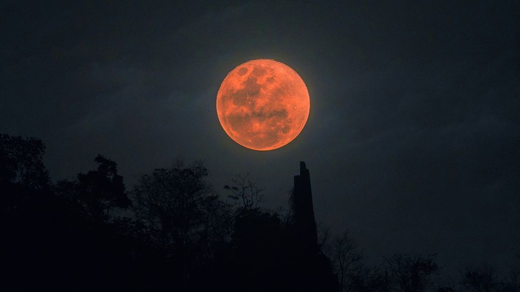 Super Blood Moon 2021: How to photograph tonight's 'Flower Blood Moon ...