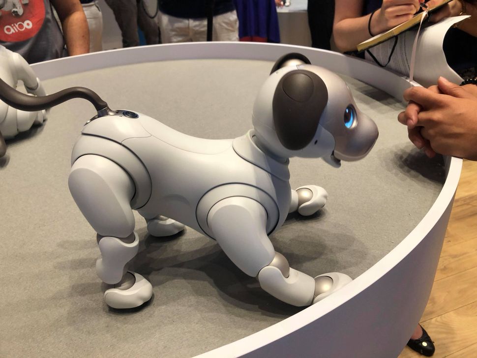 The New Aibo Is $2,899 Worth of Adorable | Tom's Guide